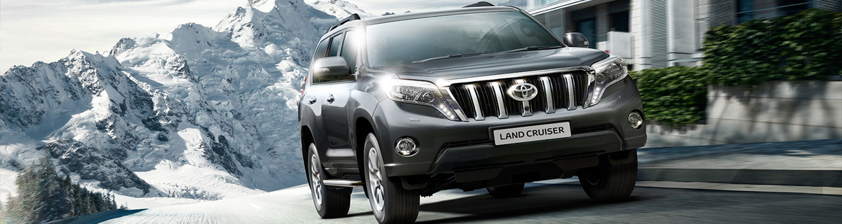 Adonis Auto Sales Inc.